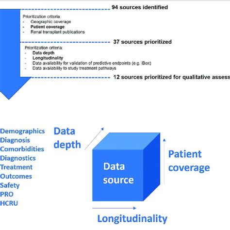 A Data Source Assessment Process Flow Note Bold Terms Refer To Download Scientific