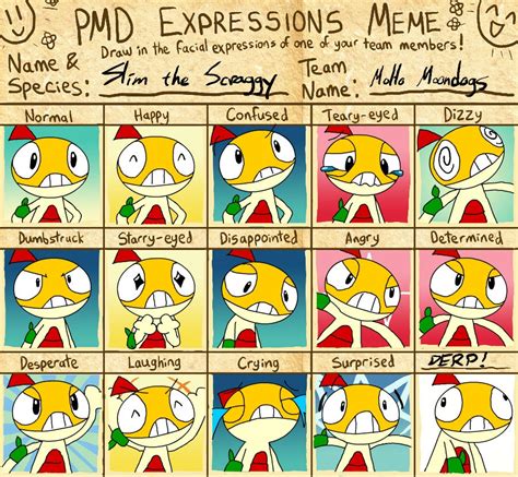 Pmd Expressions Meme Slim By Rae Nine On Deviantart