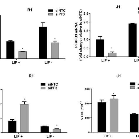 Pfkfb3 Silencing Induces Differentiation Marker Brachyury Expression In