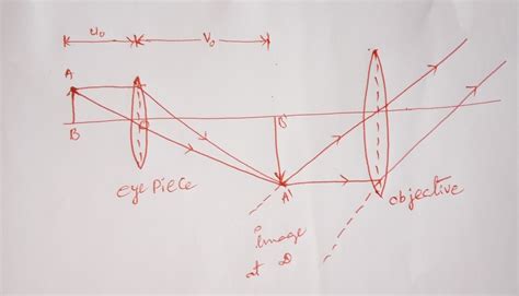 What Is The Final Image Of Compound Microscope At Dawn Wilkerson Blog