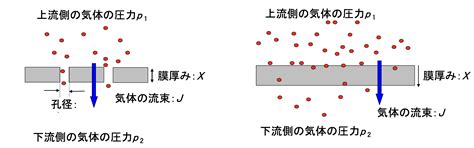 プラスチックへの気体透過の現象論の解説Ⅱ 無孔膜での透過の現象論 株式会社東ソー分析センター