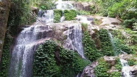 Eksplorasi Keindahan Air Terjun Talang Kemulun Di Taman Nasional Kerinci Seblat Jambi One