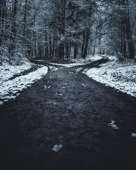 how to configure single page routing with svelte and express js by