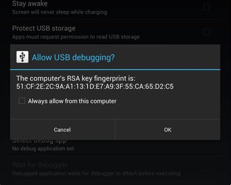 How To Enable Usb Debugging Flashget Cast