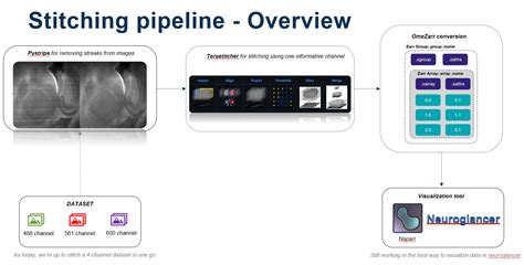 Github Allenneuraldynamics Aind Smartspim Stitch Stitching And