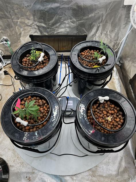 First Time Here We Go Rdwc