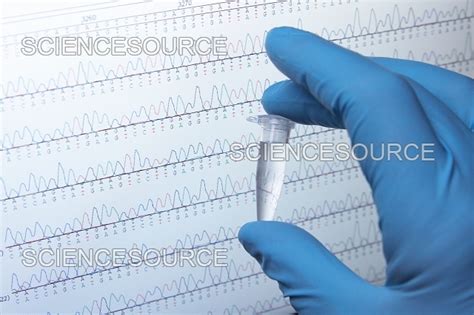 Photograph DNA Sequencing Science Source Images