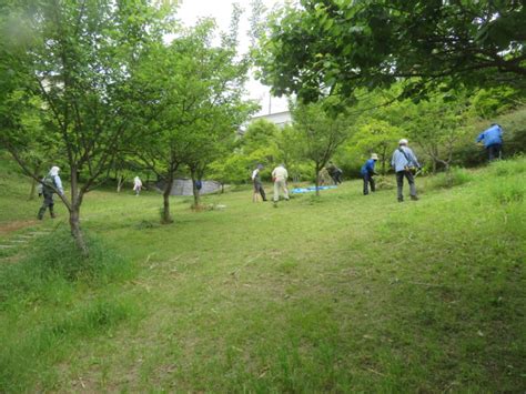 さとやま公園 見晴台付近 美化活動5 16 新百合山手街管理組合