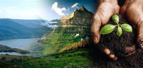 Ecosystems On The Edge Biodiversity