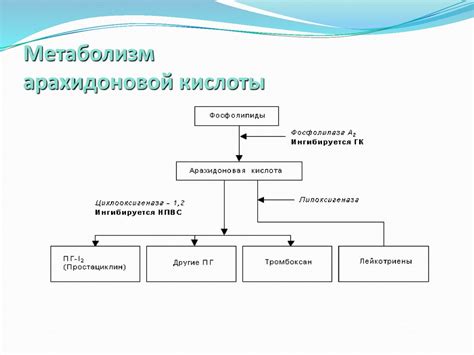 Антитромботические средства презентация онлайн