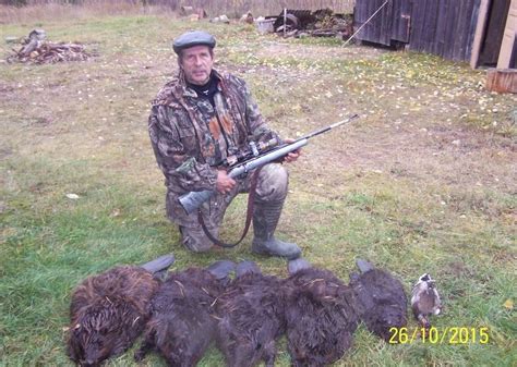 Bebri Medību Trofejas