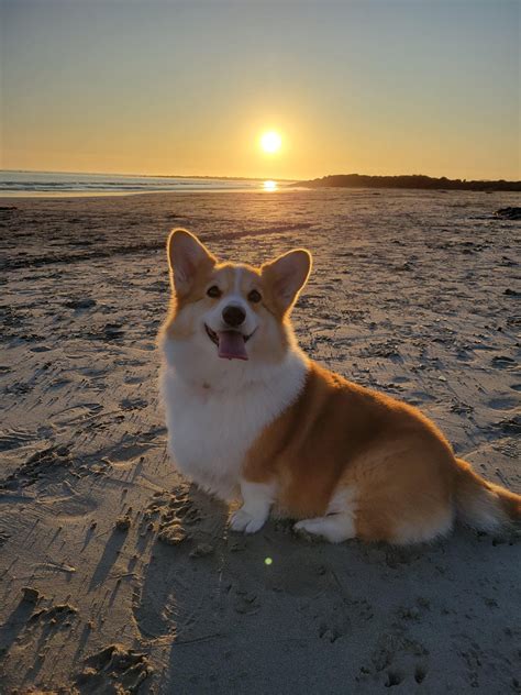 Whats Prettier Kiki Or The Sunset Rcorgi