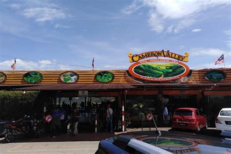 Cameron Highlands Day Trip From Kuala Lumpur Power Traveller