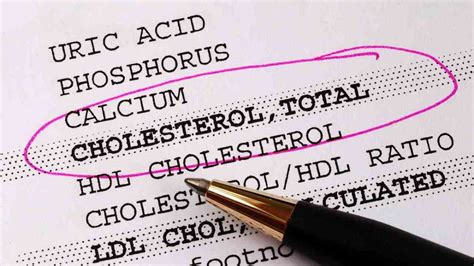 What Causes Atherosclerosis Aka Hardening Of The Arteries Howcast