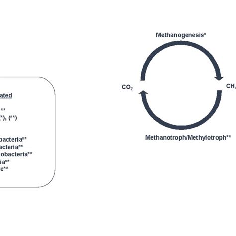 Potential Methane Metabolic Abilities Represented In The 454 Sequences
