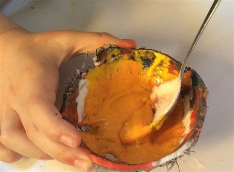 Make Your Own Erupting Volcano