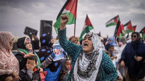 We Need A Global Campaign To Support The Sahrawi Liberation Struggle