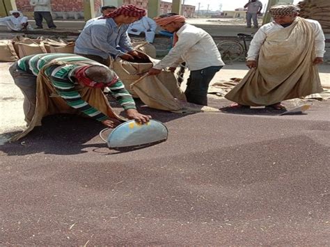 7 Centers Have Been Set Up In The District Officials Of Nafed And