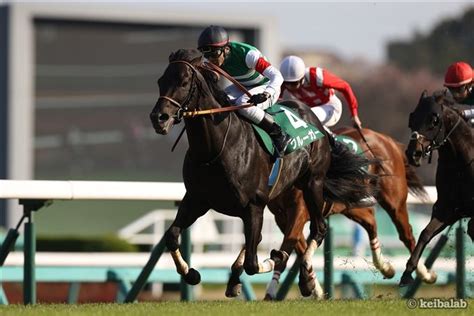ダービー卿チャレンジトロフィー【2020年4月4日中山11r】 競馬ラボ