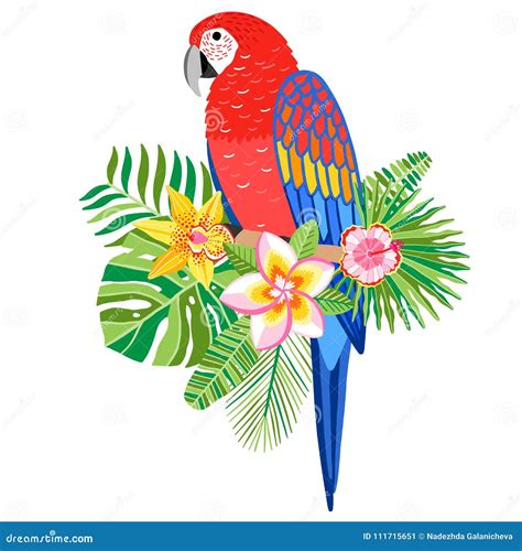 Macaw Parrot Vector Illustration Tropical Bird Stock Vector