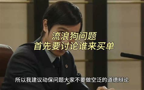 流浪狗问题，首先要讨论谁来买单 哔哩哔哩