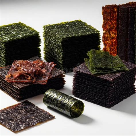 Assortment Of Dried Seaweed Snacks And Ingredients Stock Illustration