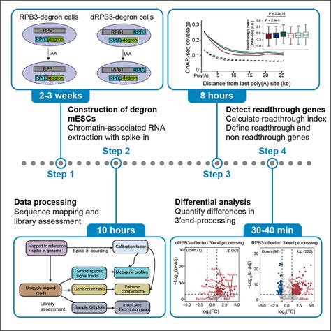 Cell Press Star Protocols