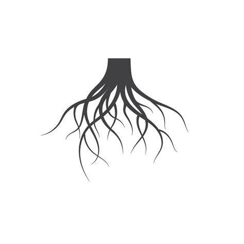 Tree Roots Vector Icon Illustration Design Vector Art At Vecteezy
