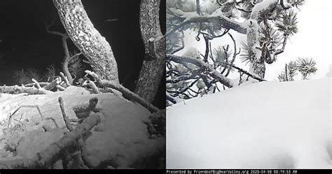 Comparison Of Snowfall At Big Bear Bald Eagle Nest 938 Pm Vs 819 Am