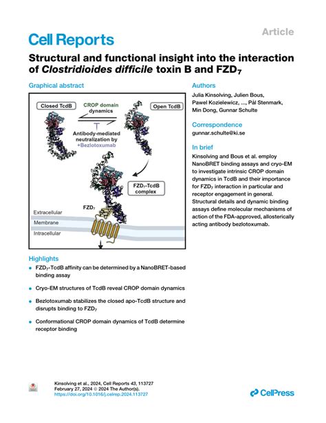 Pdf Structural And Functional Insight Into The Interaction Of