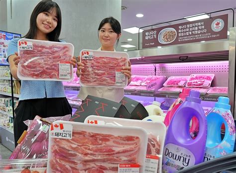 롯데마트 멤버십 스노우플랜 전용 프로모션 삼겹살 990원” 전자신문