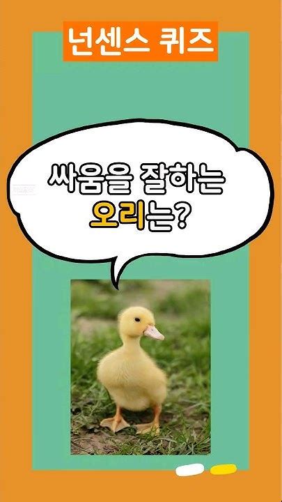 넌센스 퀴즈 싸움을 잘하는 오리는 Youtube
