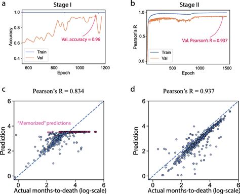 Performance Evaluation And The Memorization Effect Of The Network A