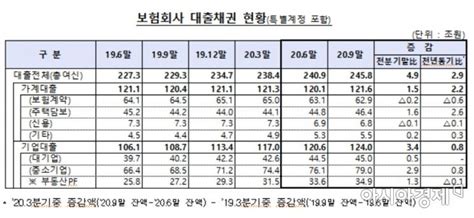 3분기 보험사 대출 잔액 246조코로나 이후 가장 많이 늘어 아시아경제