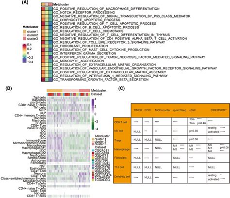 Immune‐related Functional Annotation Of Metabolic Clusters In