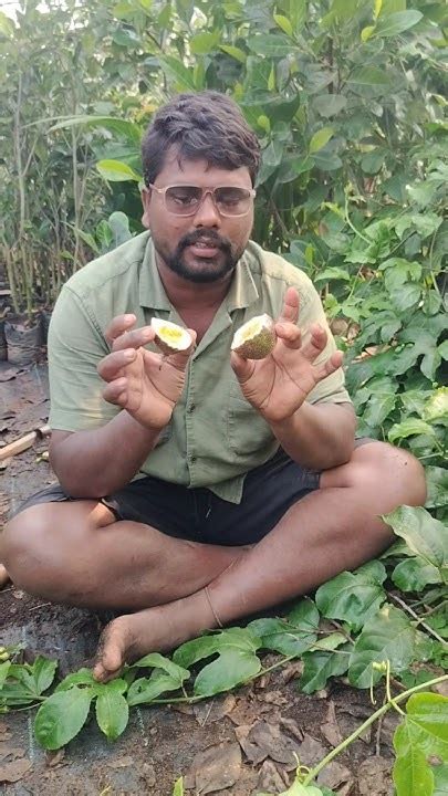 ఈ ఫ్రూట్ ఎప్పుడైనా తిన్నారా ఫ్యాషన్ ఫ్రూట్ స్వీట్