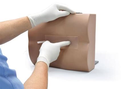 Vente de Simulateur de Ponction Lombaire Erler Zimmer R11030 à 3 157 00