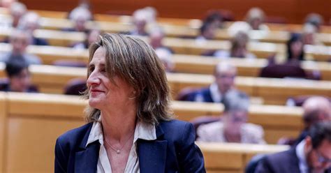 Este Es El Currículum Completo De Teresa Ribera Vicepresidenta Tercera