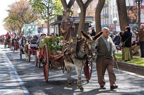 Tres Tombs A Tarragona Fires Festes Oci I Llocs Per Visitar