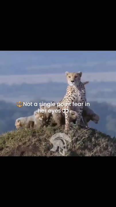 Raju Kumar Mehta On Linkedin Motivationalquotes Motivation