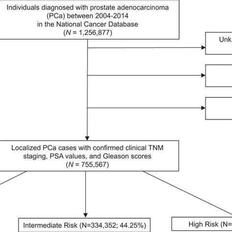 Flowchart Of Cohort Selection Criteria Download Scientific Diagram