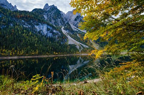 맑고 투명한 물과 반사가있는 평화로운 가을 알프스 산악 호수 고소센 또는 Vorderer 고사우제 호수 어퍼 오스트리아 다흐슈타인 정상과 빙하 0명에 대한 스톡 사진 및