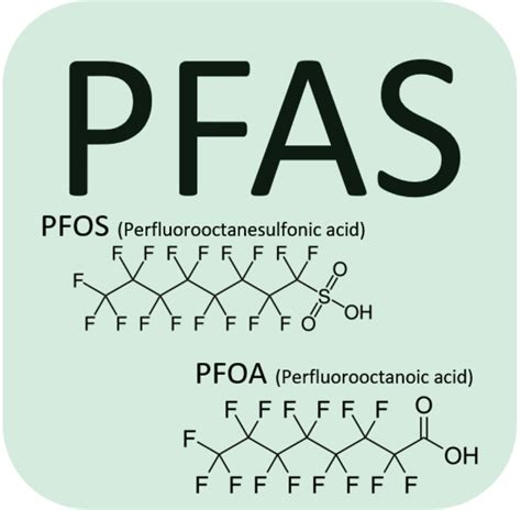 The Path Of Pfas — Portco Packaging