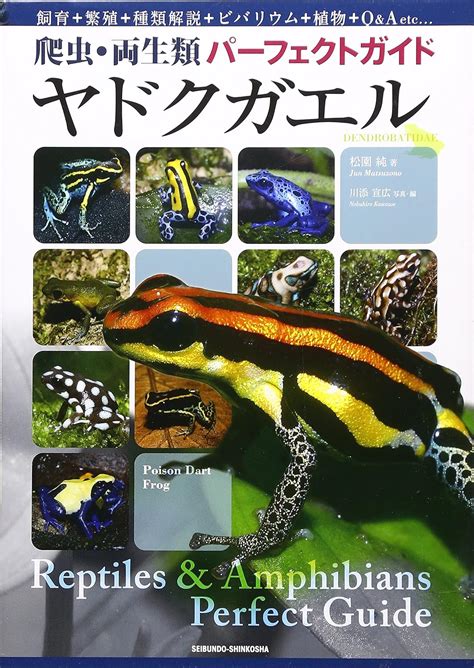 ヤドクガエル 爬虫・両生類パーフェクトガイド