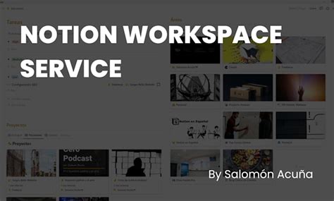 Create Your Notion Workspace By Salomna Fiverr