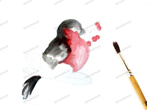 Как нарисовать снегиря на ветке поэтапно Фломзики ру