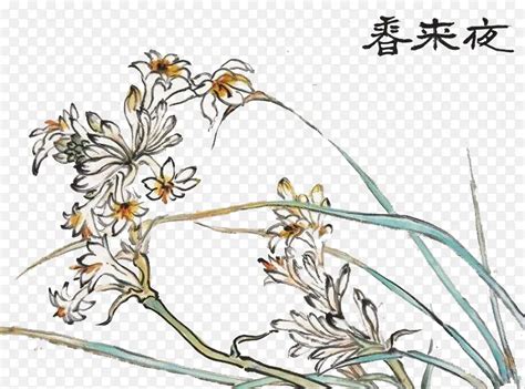 夜来香画PNG图片素材下载 图片编号7935899 PNG素材网