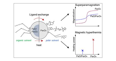 Phase Transformation Of Superparamagnetic Iron Oxide Nanoparticles Via Thermal Annealing