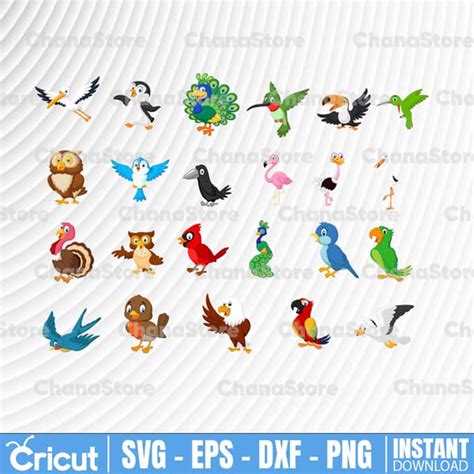 Cute Bird Svg Bundlebird Svgbird On A Branch Svg Clipart V Inspire