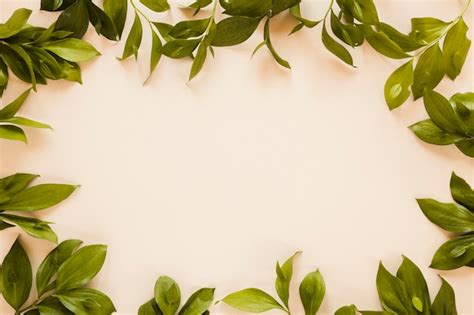 Pose Plate De Feuilles Avec Fond Photo Gratuite